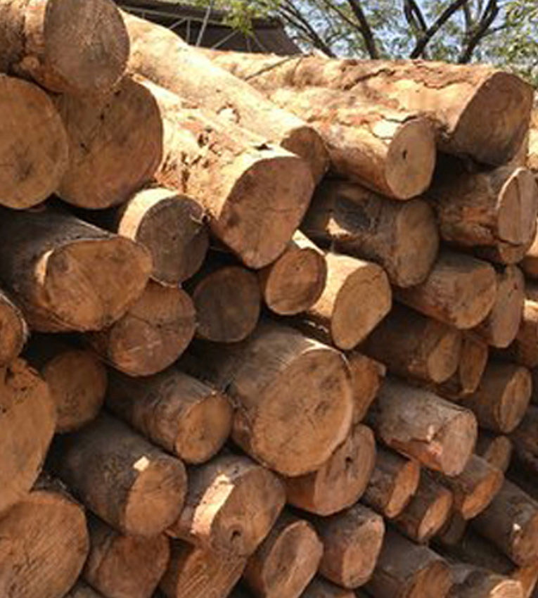 Timber Details | Timber Trade